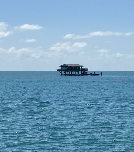 Monday on the island… sunny during the day, and mild evening | Key ...