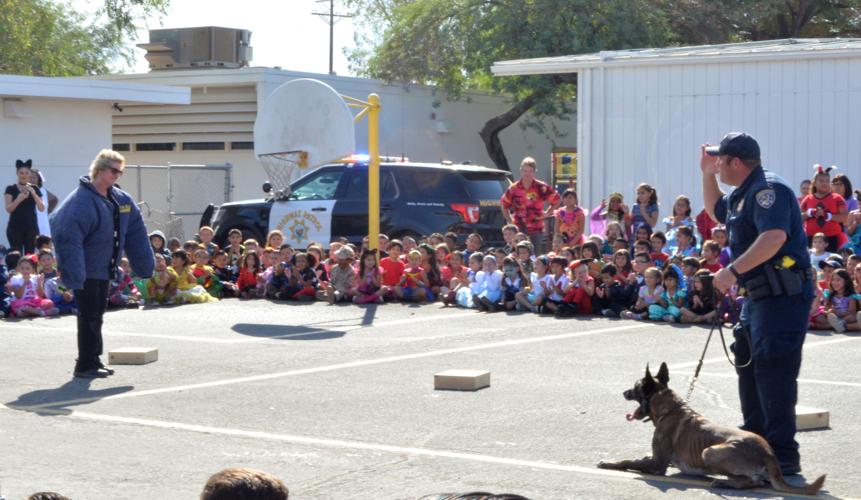 Week in Pictures: Oct. 25-Nov. 1 | Photos | ivpressonline.com