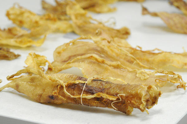 GALLERY: Totoaba Smuggling | Community | ivpressonline.com