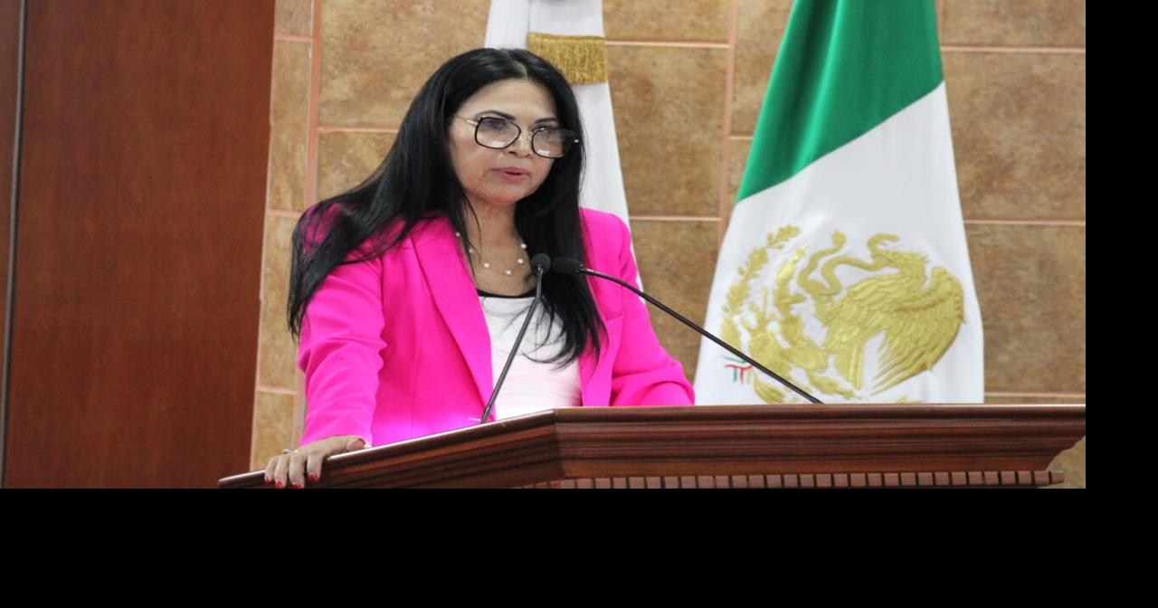 Exige diputada investigación de caso BISOM | Adelante Valle ...