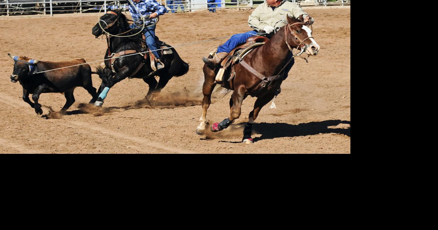 Brawley Cattle Call Mini Rodeo proves successful | Local News ...