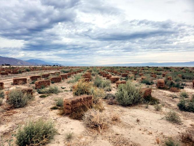 Presenta California reporte anual del Salton Sea | Adelante Valle ...