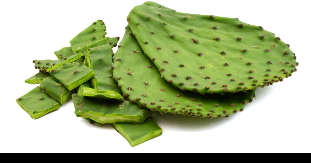 The health benefits of eating cactus | Home and Garden | ivpressonline.com