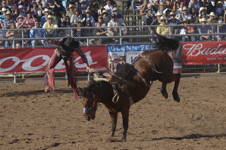 Cattle Call Rodeo | Photos | ivpressonline.com
