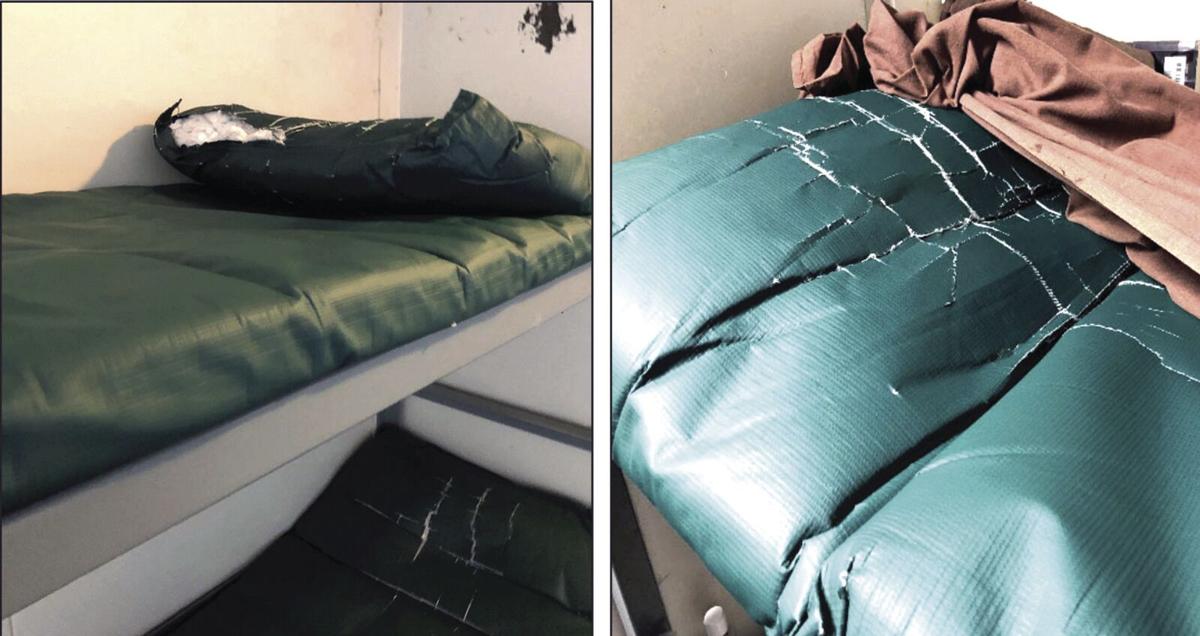 This Week in Pictures: January 1-7 | Photos | ivpressonline.com