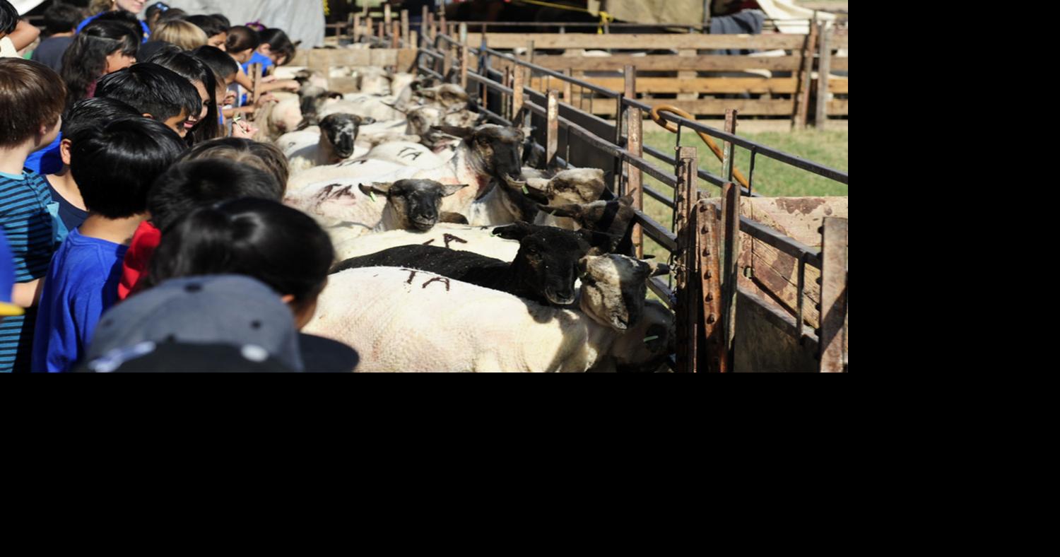 Myron D. Witter Elementary School students visit Auza Farm, learn about ...