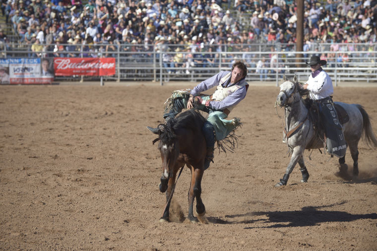 Cattle Call Rodeo | Photos | ivpressonline.com