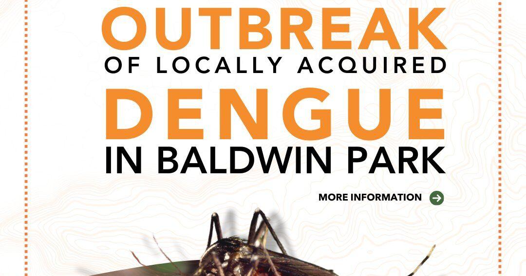 LA County reports additional dengue cases | Featured | ivpressonline.com