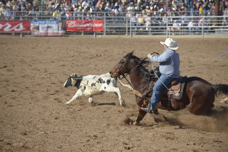 Cattle Call Rodeo | Photos | ivpressonline.com