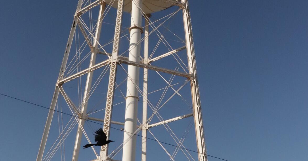 Community reacts to Hinojosa Water Tower demolition | News ...