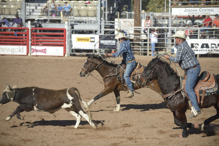 Cattle Call Rodeo | Photos | ivpressonline.com