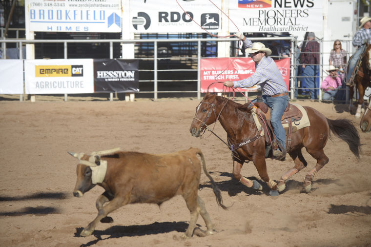 Cattle Call Rodeo | Photos | ivpressonline.com