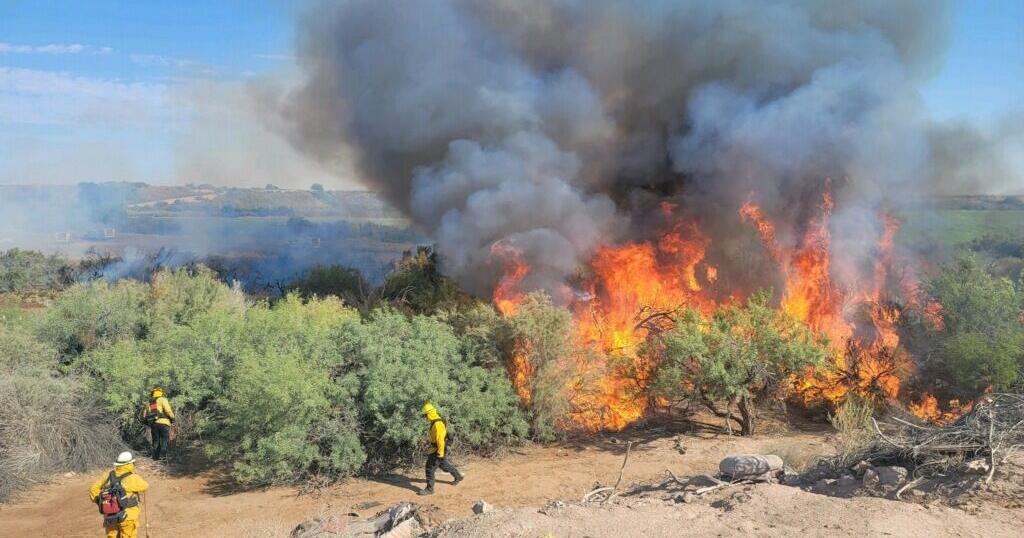 Multi-agency fire drill to mitigate a river bottom fires successful ...