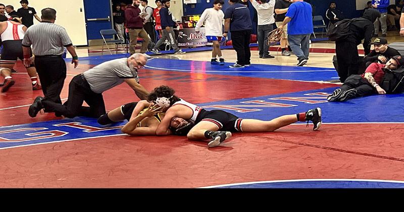 Vikings, Tigers wrestlers medal in LA County tournament | Sports ...