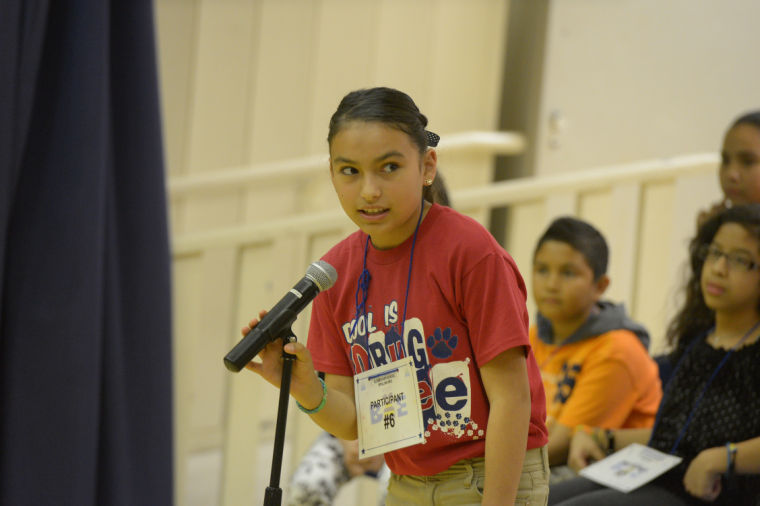 Dool Spelling Bee | Photos | ivpressonline.com