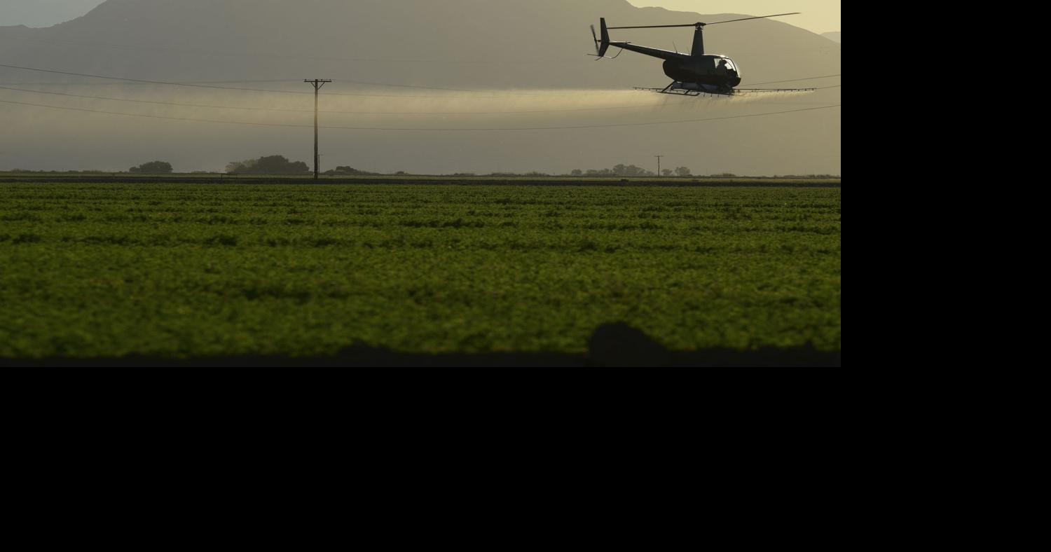 Crop dusting: Flying into danger | Agriculture | ivpressonline.com