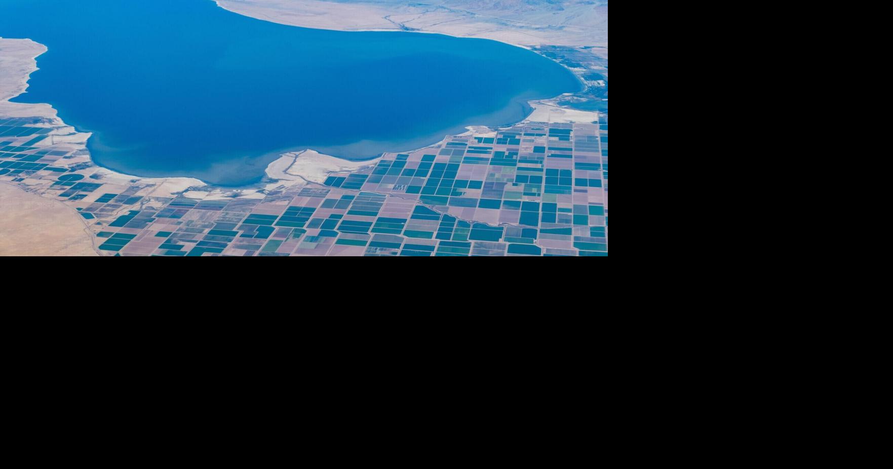 Blue-Ribbon Commission on lithium extraction completes its mission ...