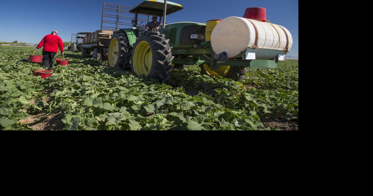 Farming through historic water scarcity in California | Agriculture ...