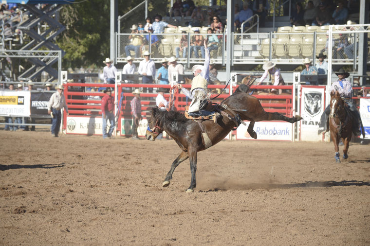Cattle Call Rodeo | Photos | ivpressonline.com
