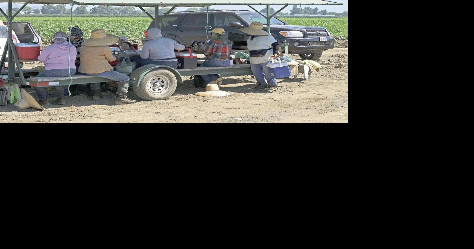 FARM: Farms focus on safety amid summer heat | Farm | ivpressonline.com