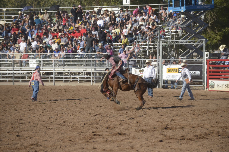 Cattle Call Rodeo | Photos | ivpressonline.com