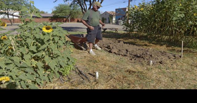 HOME: No stomping the yard: How to prevent soil compaction | Home and ...