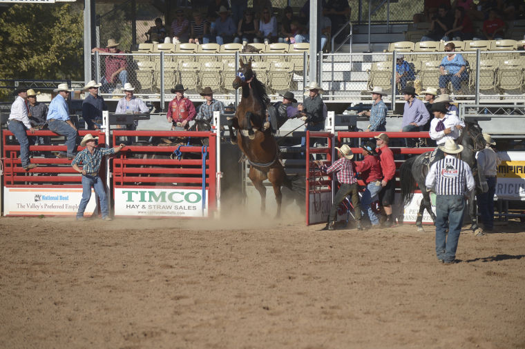 Cattle Call Rodeo | Photos | ivpressonline.com