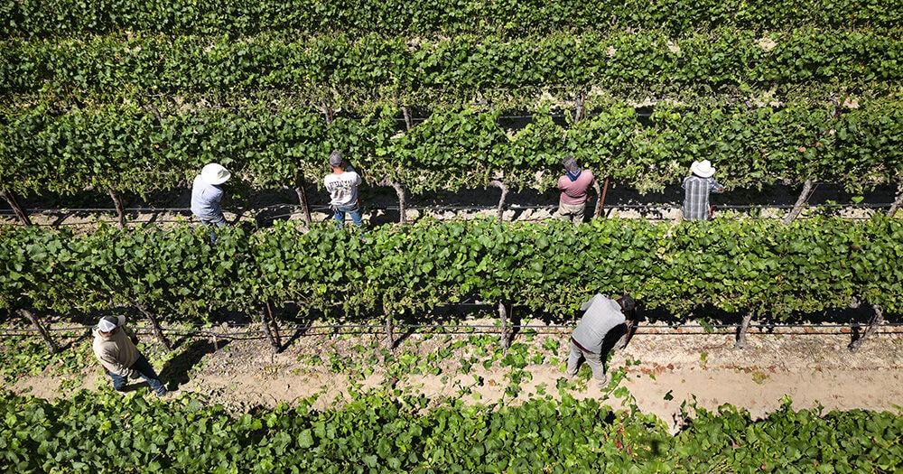 H-2A rule change puts spotlight on work visa program | Business ...