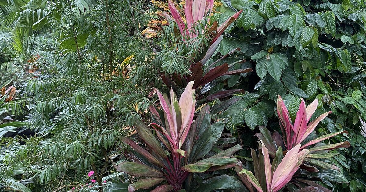 HOME AND GARDEN: Experience the many benefits from time in nature ...