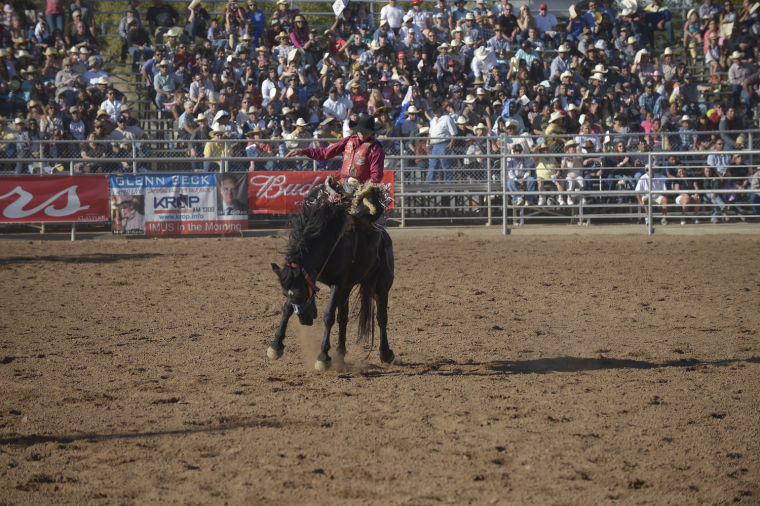 Cattle Call Rodeo | Photos | ivpressonline.com