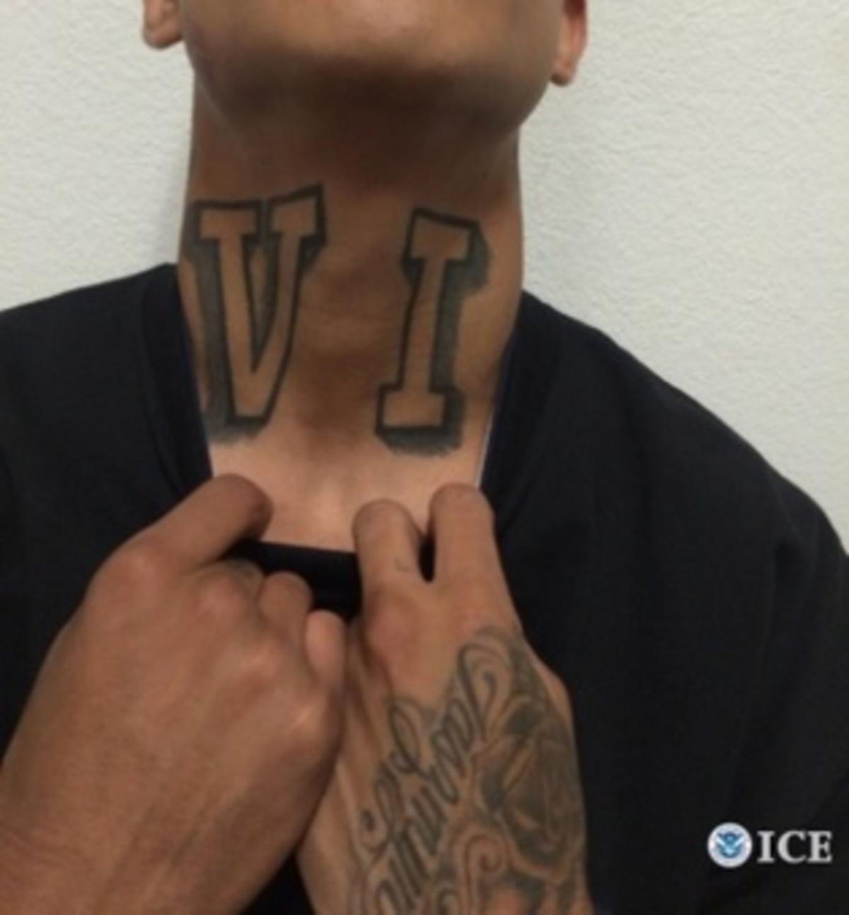 Valley gang members picked up in 'Project Wildfire' | Local News ...