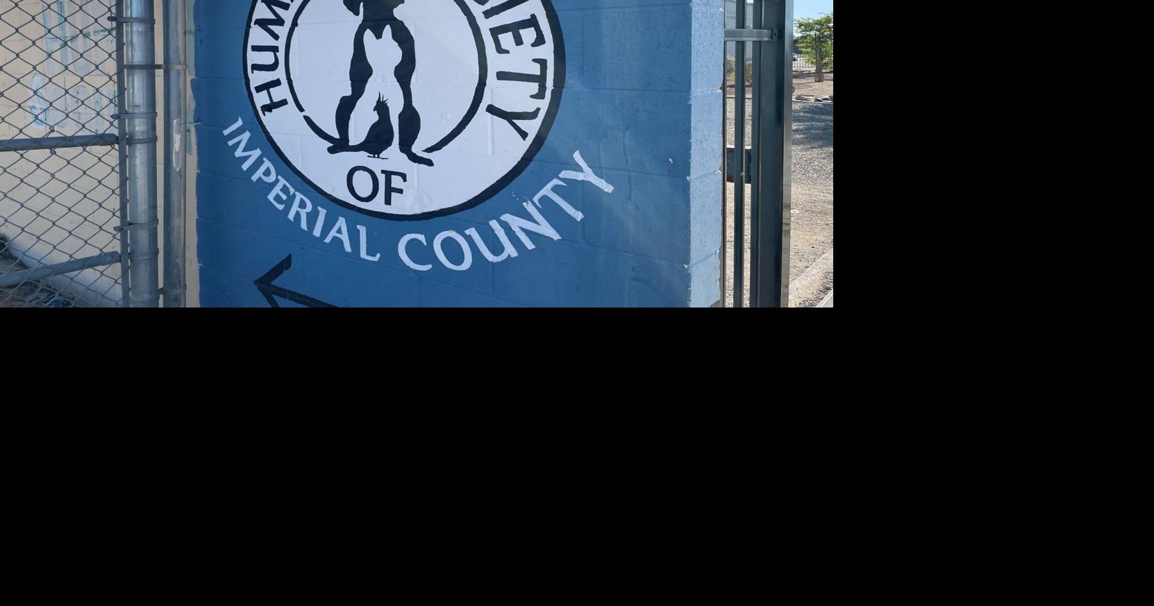 Humane Society faces crisis | Local News | ivpressonline.com