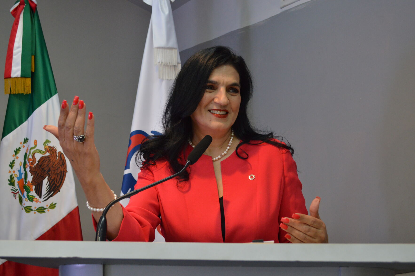 MEXICALI BRIEFS: Babún Villarreal elected first female President of ...