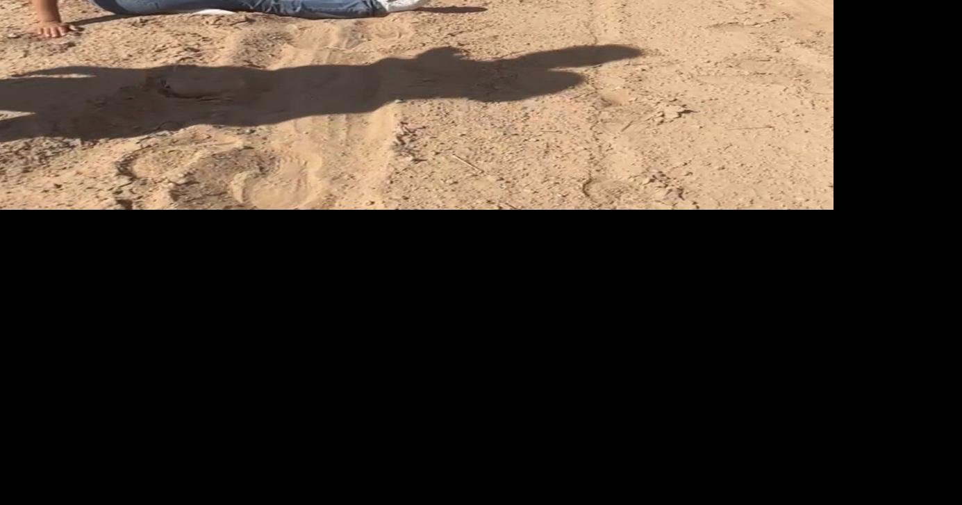 USBP agents arrest nine immigrants | Featured | ivpressonline.com