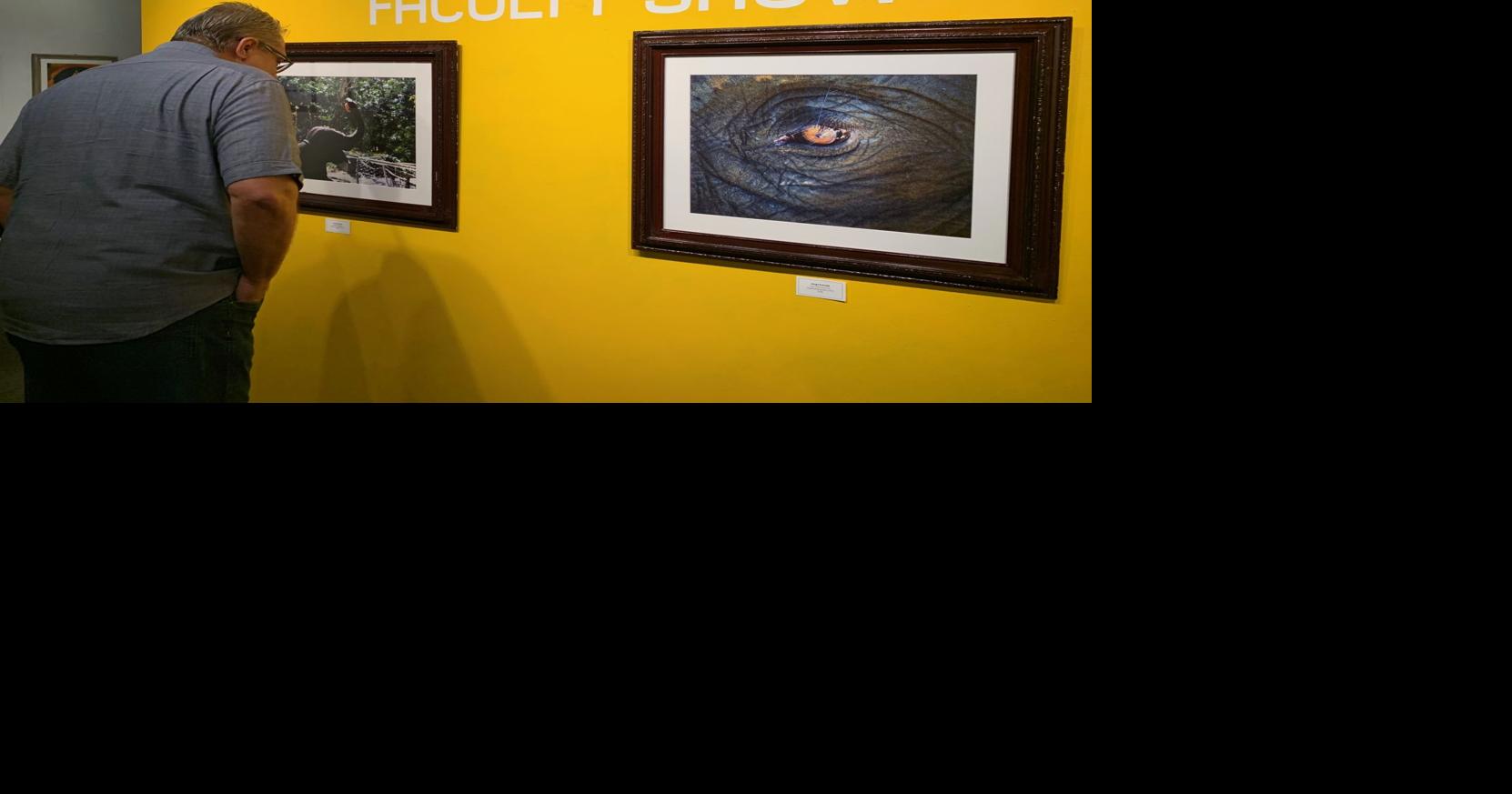 Faculty deliver the goods at IVC art exhibit | Local News ...