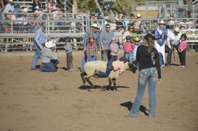 Cattle Call Rodeo | Photos | ivpressonline.com