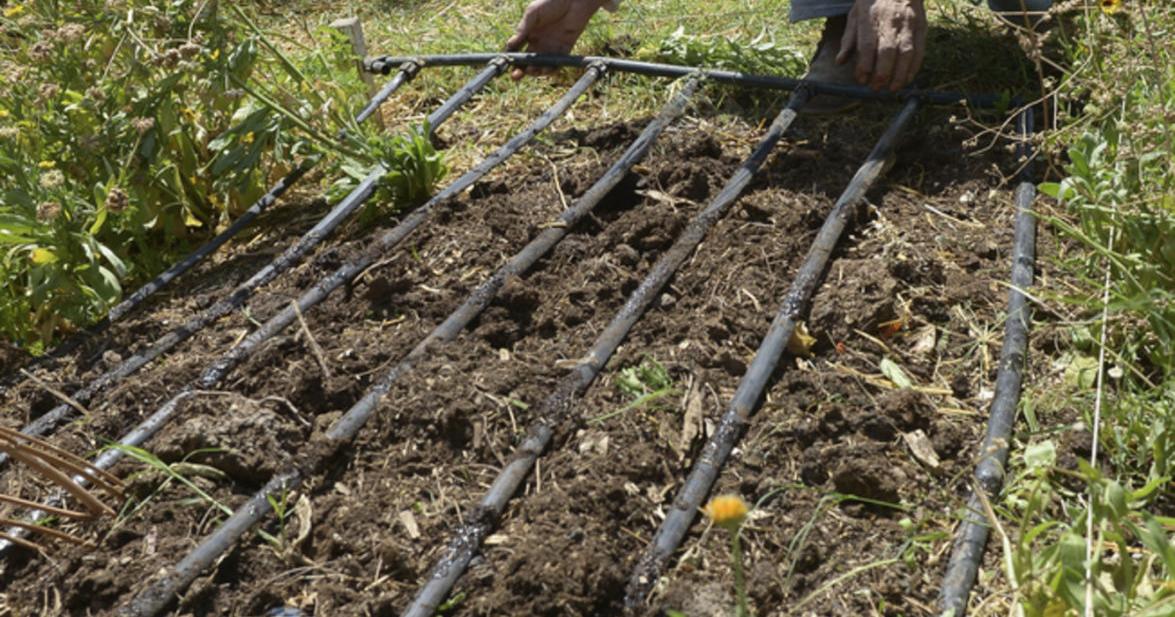 State Water Control Board adopts emergency regulation to combat drought ...