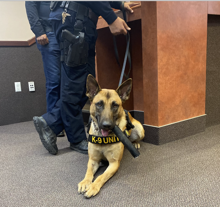 Brawley Police Department presents new K-9 officer 'Scout' | Local News ...