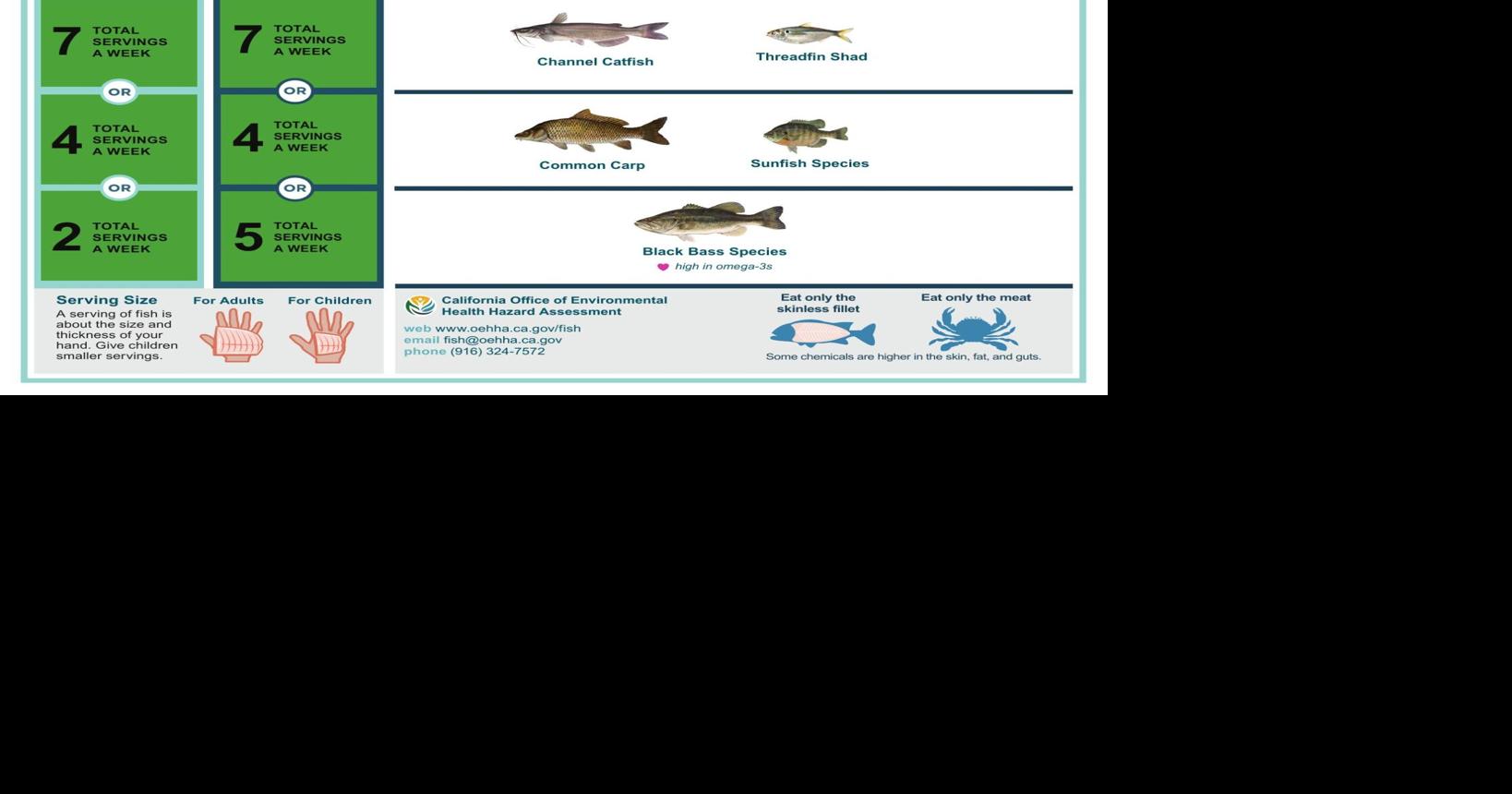 Fish advisory for Sunbeam Lake offers safe-eating advice | Featured ...
