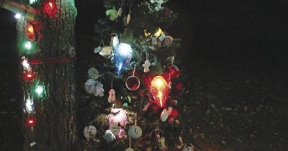 Fireworks to be part of New Holstein park lighting Saturday | Local ...