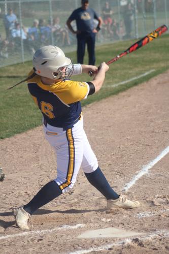 All-EWC Softball: NH's Woelfel named POY | Sports | iwantthenews.com