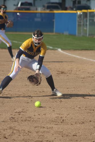 All-EWC Softball: NH's Woelfel named POY | Sports | iwantthenews.com