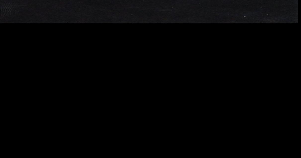 Robert Feldmann | Obituaries | iwantthenews.com