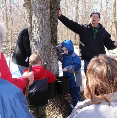 Maple Syrup Sunday held at Ledge View | News | iwantthenews.com