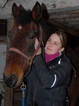 Farm chiro...and not for farmer | Local News | iwantthenews.com