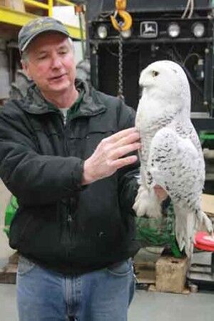 Arctic visitors come to Wisconsin | Archives | iwantthenews.com