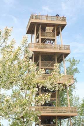 Marsh tower viewed from top down | Local News | iwantthenews.com