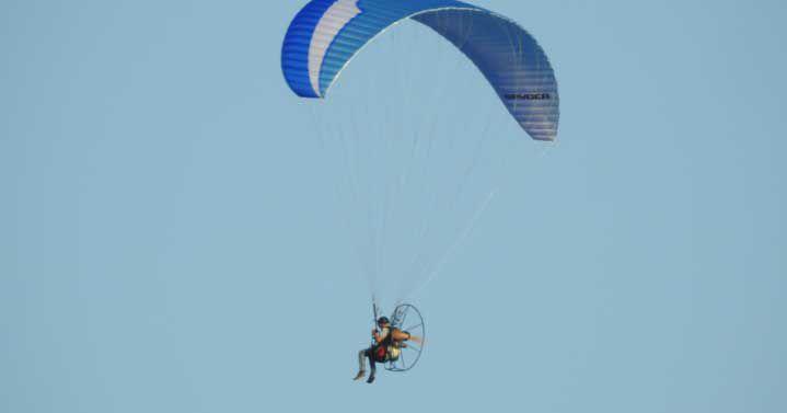 Is it a bird or a plane? | Local News | iwantthenews.com