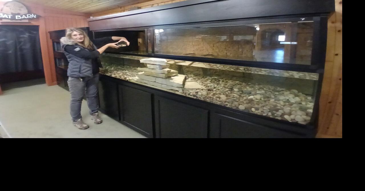 Ledge View Nature Center turtles have new home | | iwantthenews.com