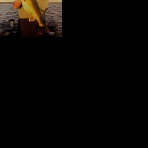 Wayne Horn | Obituaries | iwantthenews.com